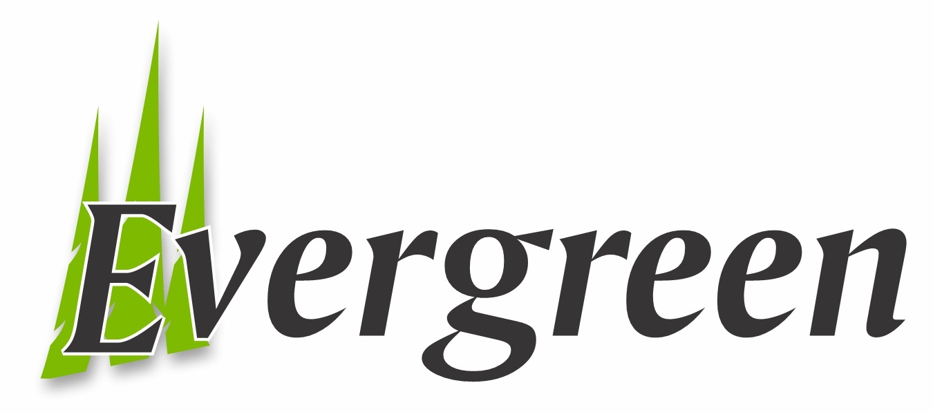 About Forest Area Federal Credit Union | Northern Michigan Credit Union